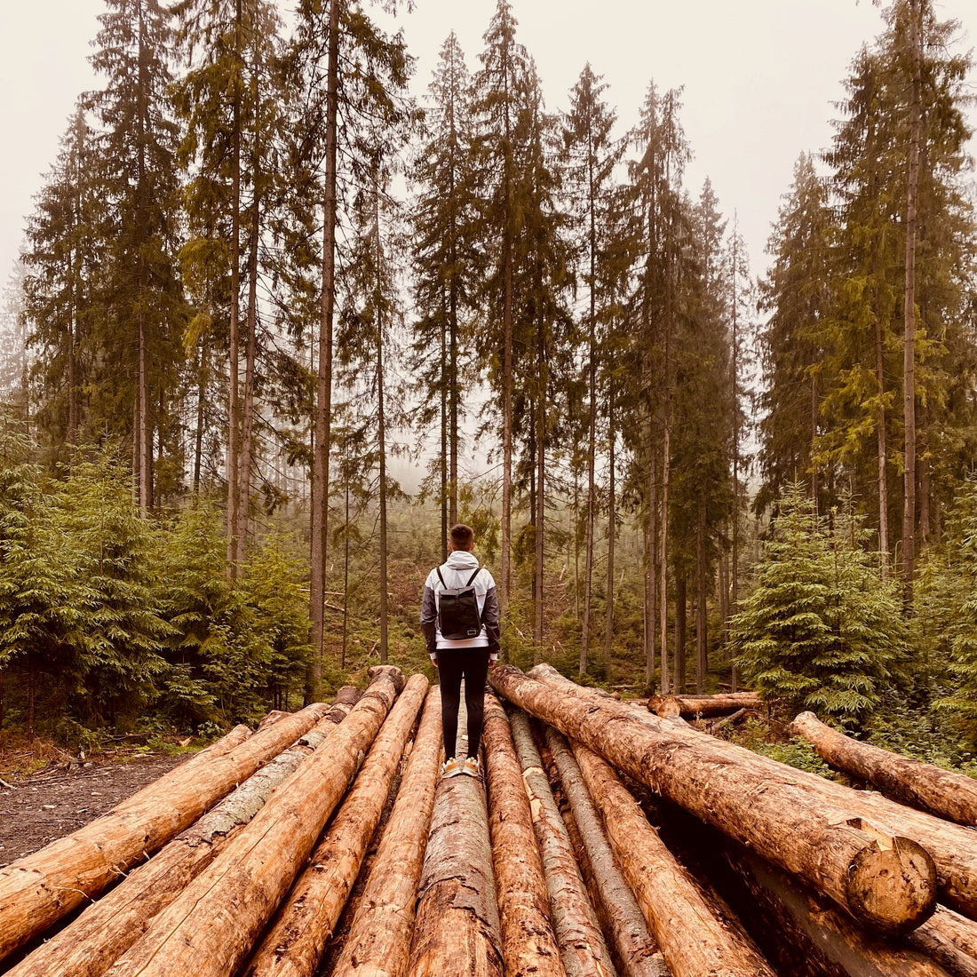 Care Guide | Paper & Sons – Paper & Sons